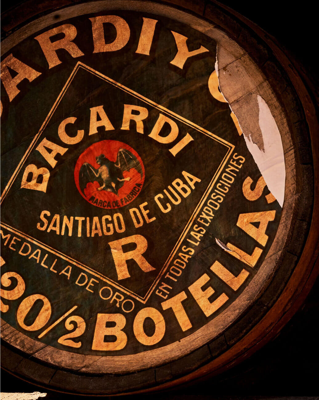 Casa BACARDÍ Puerto Rico | Puerto Rico Attractions | Rum Factory ...